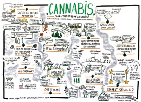 Scribing "Le cannabis, pour comprendre la société" - SuperTilt
